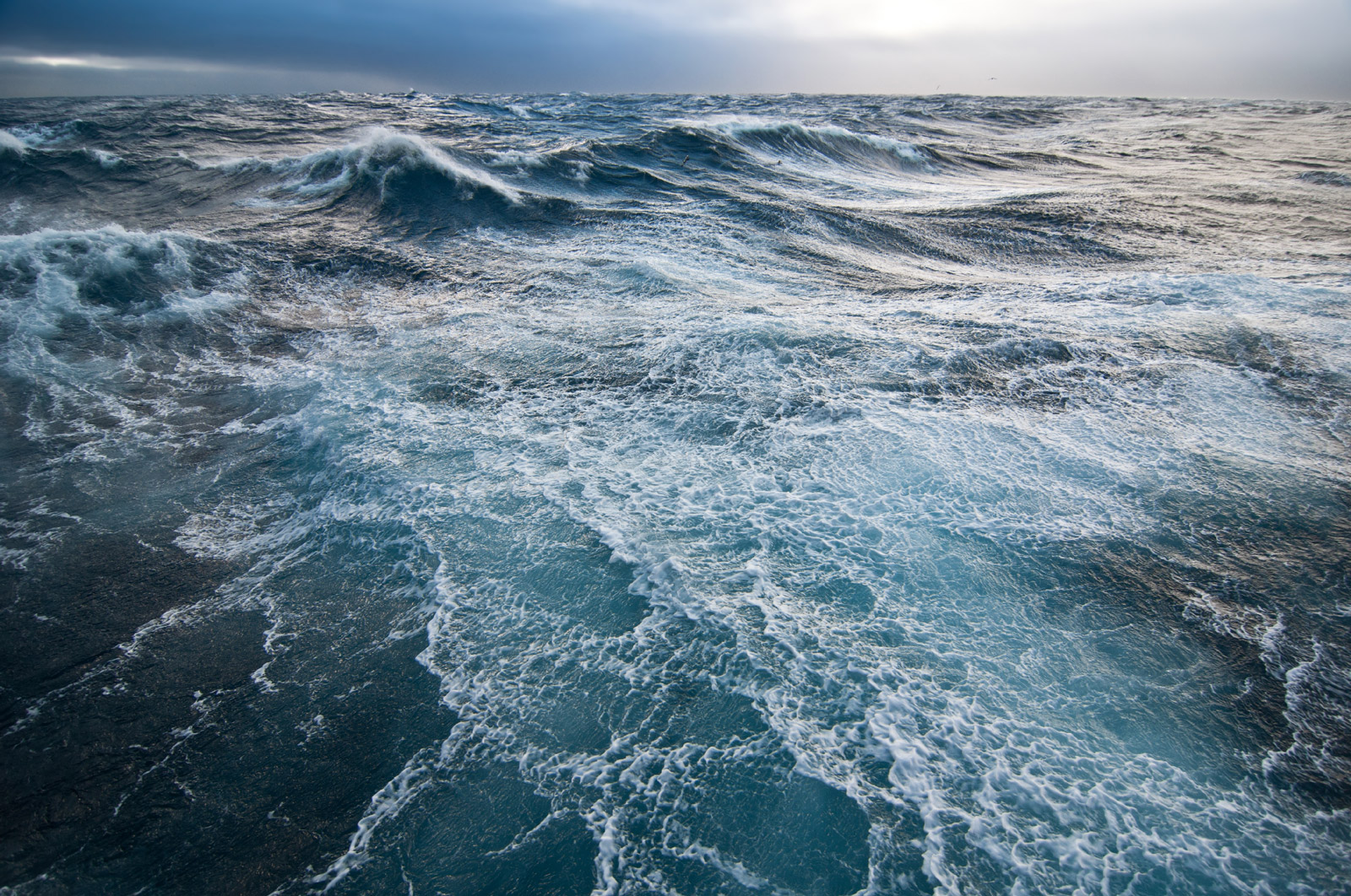 Sealand Awarded Seafood Innovation Funds for ZOEX - Sealand Projects